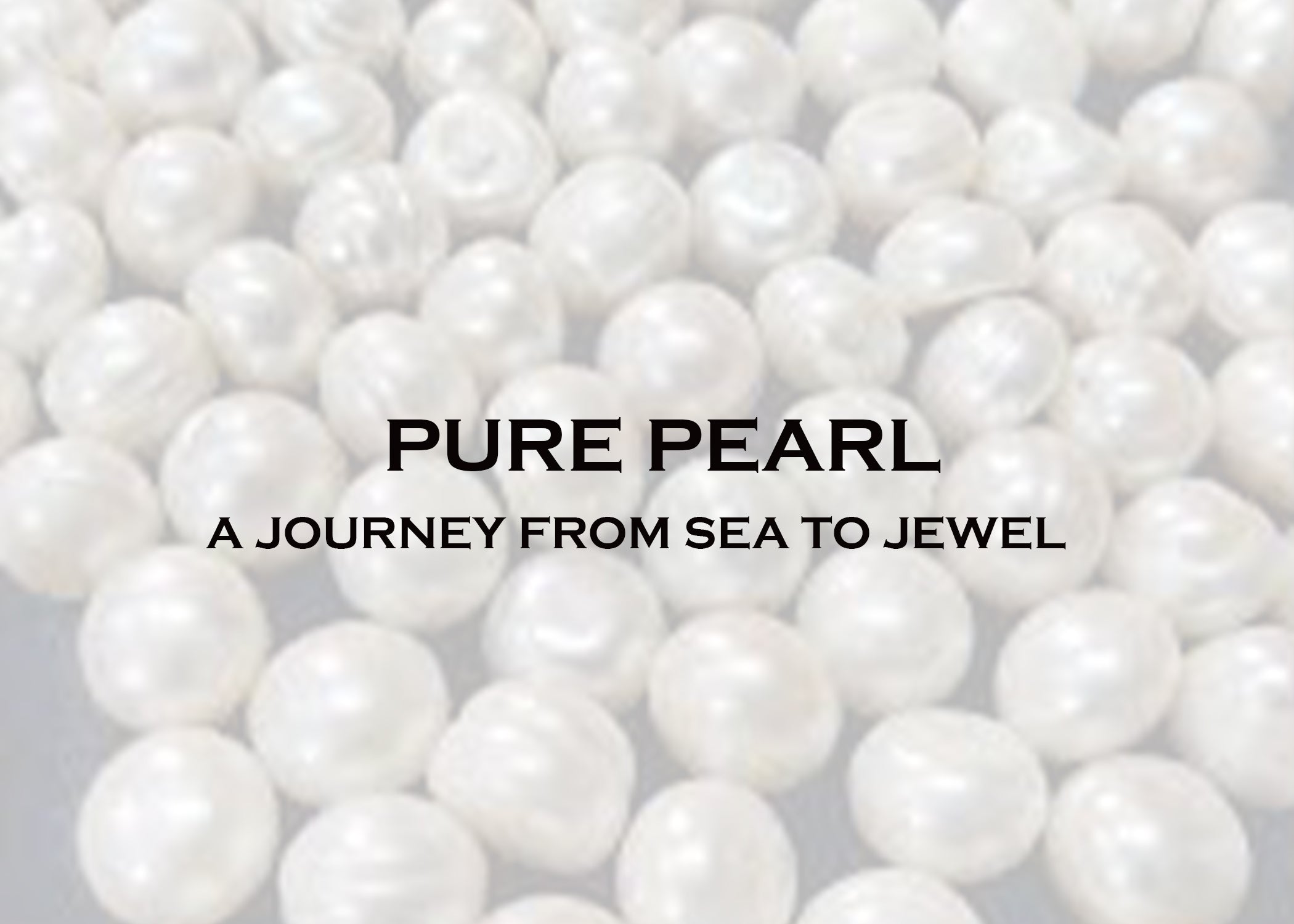 The Timeless Elegance of Pearls: A Comprehensive Guide – Zanvari